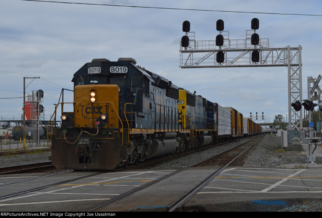 CSX 8019